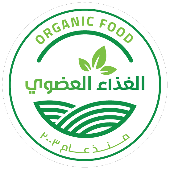 Ali Ahmed | مصمم منصة زد وسلة Custom Css Salla zid